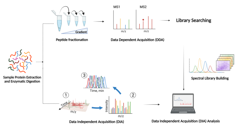 Data-Independent Acquisition Westlake Omics ｜ 西湖欧米（杭州）生物科技有限公司