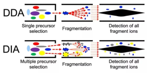 【高通量高灵敏】DIA/4D DIA/Pulse DIA蛋白质组学 Westlake Omics ｜ 西湖欧米（杭州）生物科技有限公司