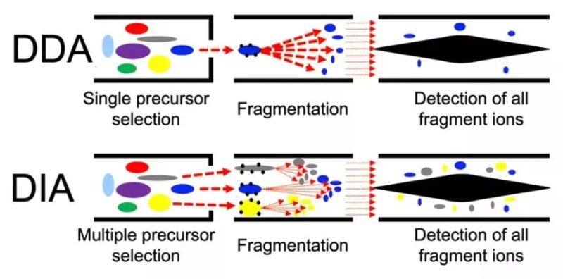【高通量高灵敏】DIA/4D DIA/Pulse DIA蛋白质组学 Westlake Omics ｜ 西湖欧米（杭州）生物科技有限公司