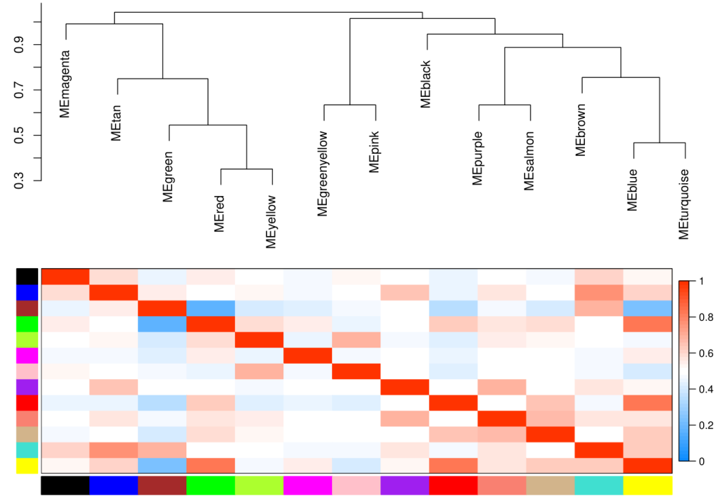 WGCNA 分析 - Westlake Omics ｜ 西湖欧米（杭州）生物科技有限公司