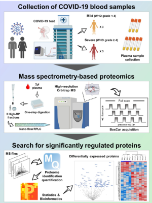 After the Genome—A Brief History of Proteomics - Westlake Omics ｜ 西湖欧米 ...