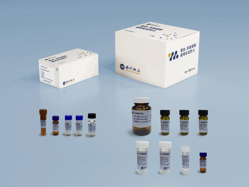 Fragpipe使用介绍 - Westlake Omics ｜ 西湖欧米（杭州）生物科技有限公司