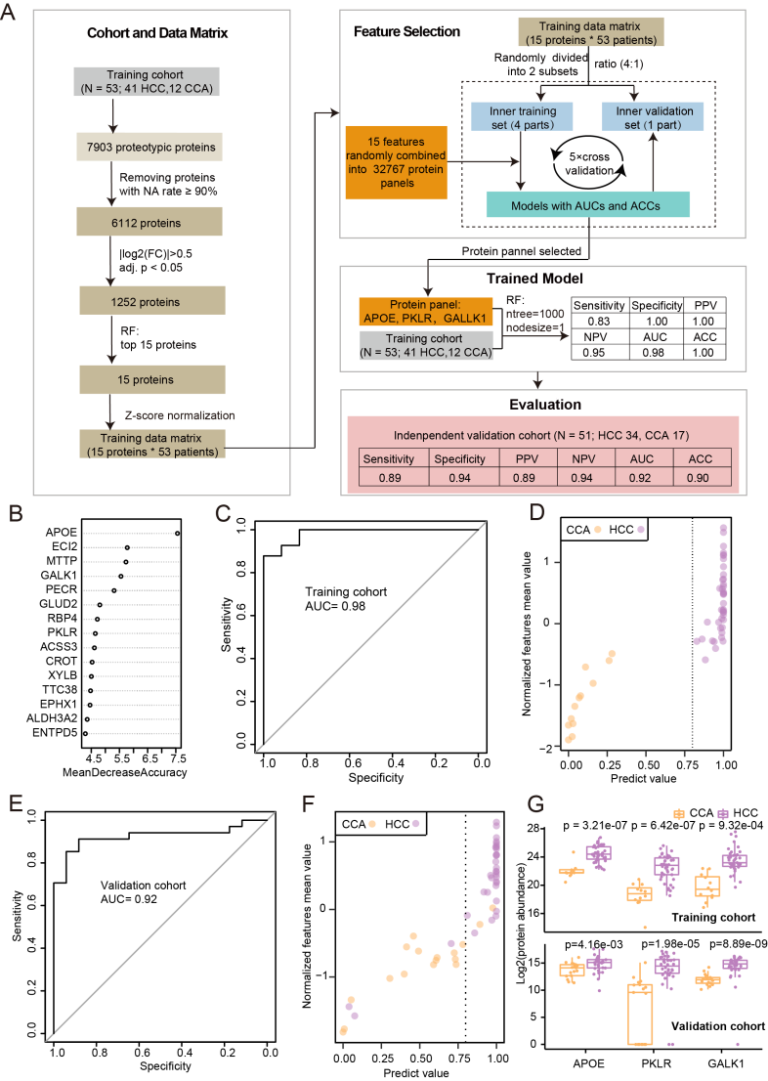 MCP | 人肝细胞癌和肝内胆管癌的蛋白质组景观 - Westlake Omics ｜ 西湖欧米（杭州）生物科技有限公司