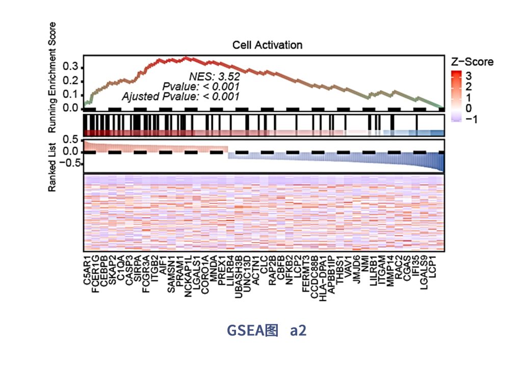 糖果铺4：GSEA图 - Westlake Omics ｜ 西湖欧米（杭州）生物科技有限公司