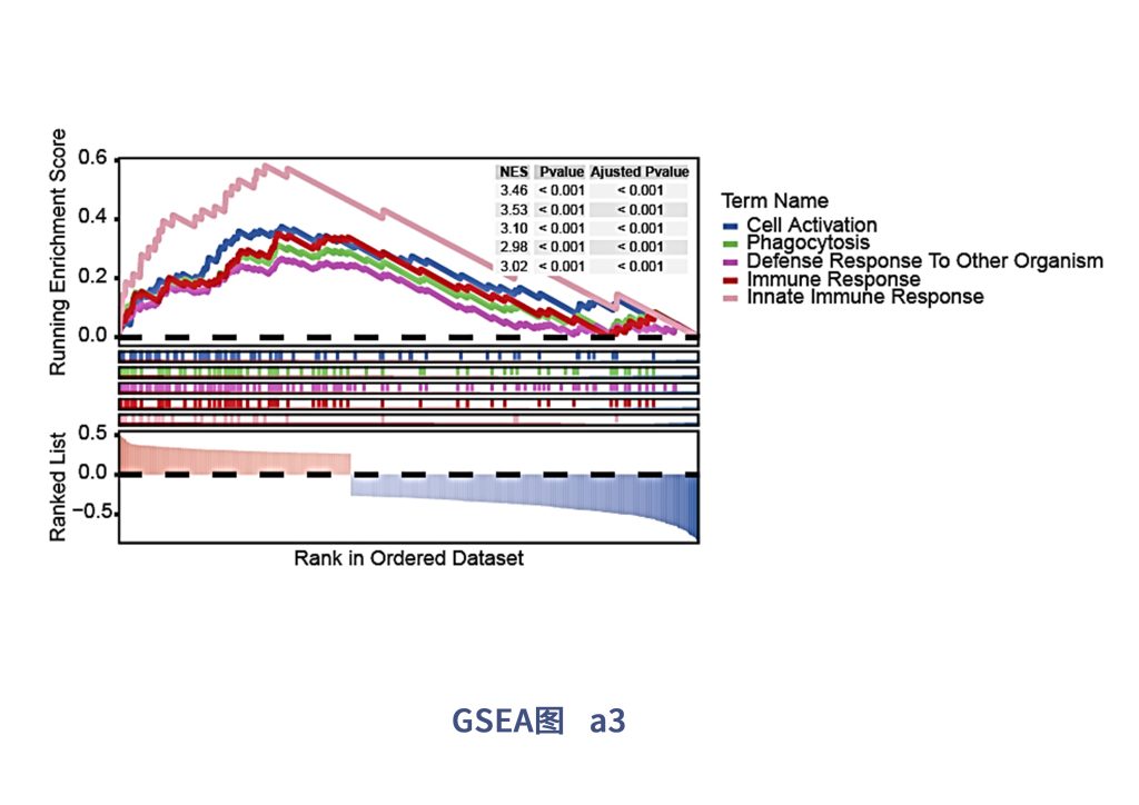 糖果铺4：GSEA图 - Westlake Omics ｜ 西湖欧米（杭州）生物科技有限公司