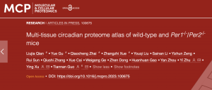MCP｜蛋白质时空表达图谱：小鼠蛋白质生物钟 - Westlake Omics ｜ 西湖欧米（杭州）生物科技有限公司