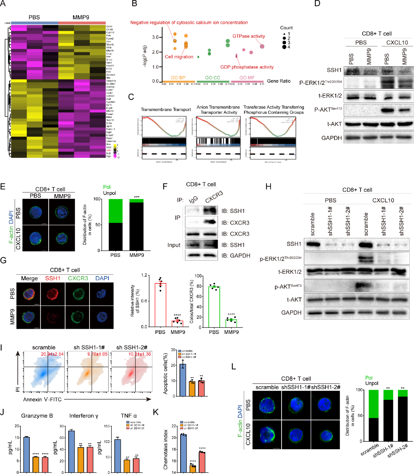 客户文章｜Gut（IF=24.5）：多组学探索肝癌免疫治疗新策略 - Westlake Omics ｜ 西湖欧米（杭州）生物科技有限公司