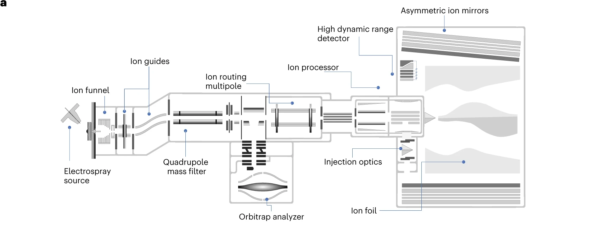 浙江癌症数据、Orbitrap Astral、人类扁桃体细胞图谱｜Proteomics Weekly Snapshot 004 ...