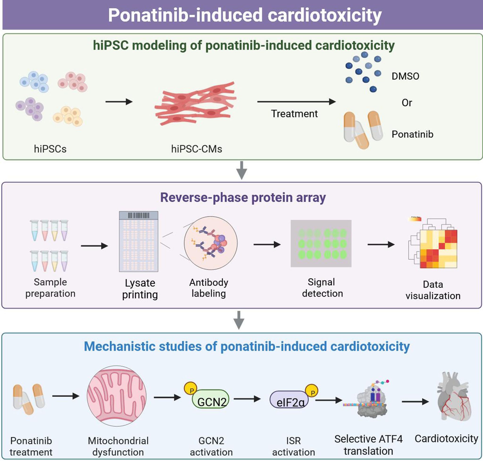 2023医保数据、HUPO2024、单细胞蛋白组学流程PiSPA｜Proteomics Weekly Snapshot 005 ...
