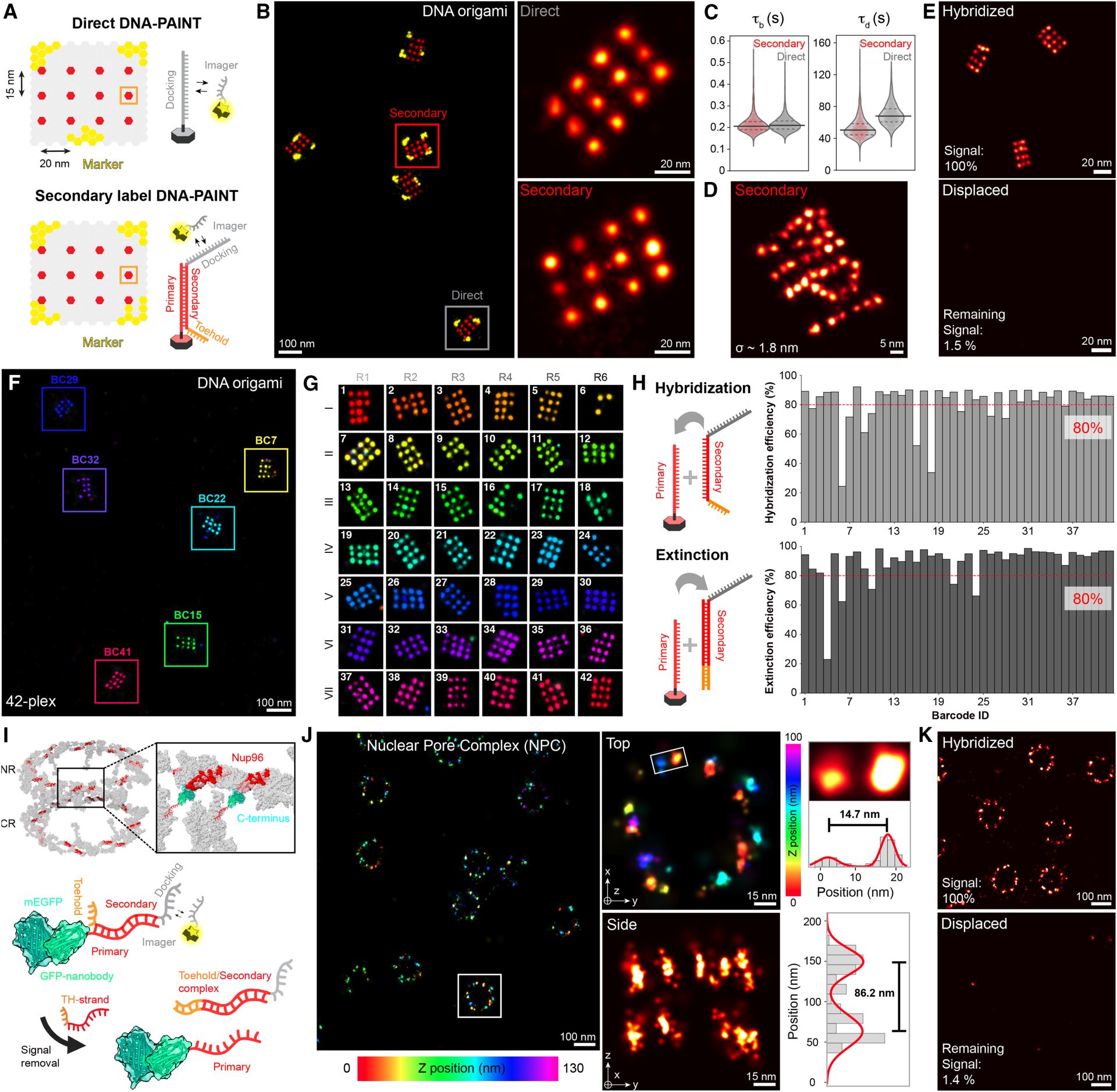 Cell｜SUM-PAINT：单蛋白分辨率的神经元空间蛋白质组学 - Westlake Omics ｜ 西湖欧米（杭州）生物科技有限公司