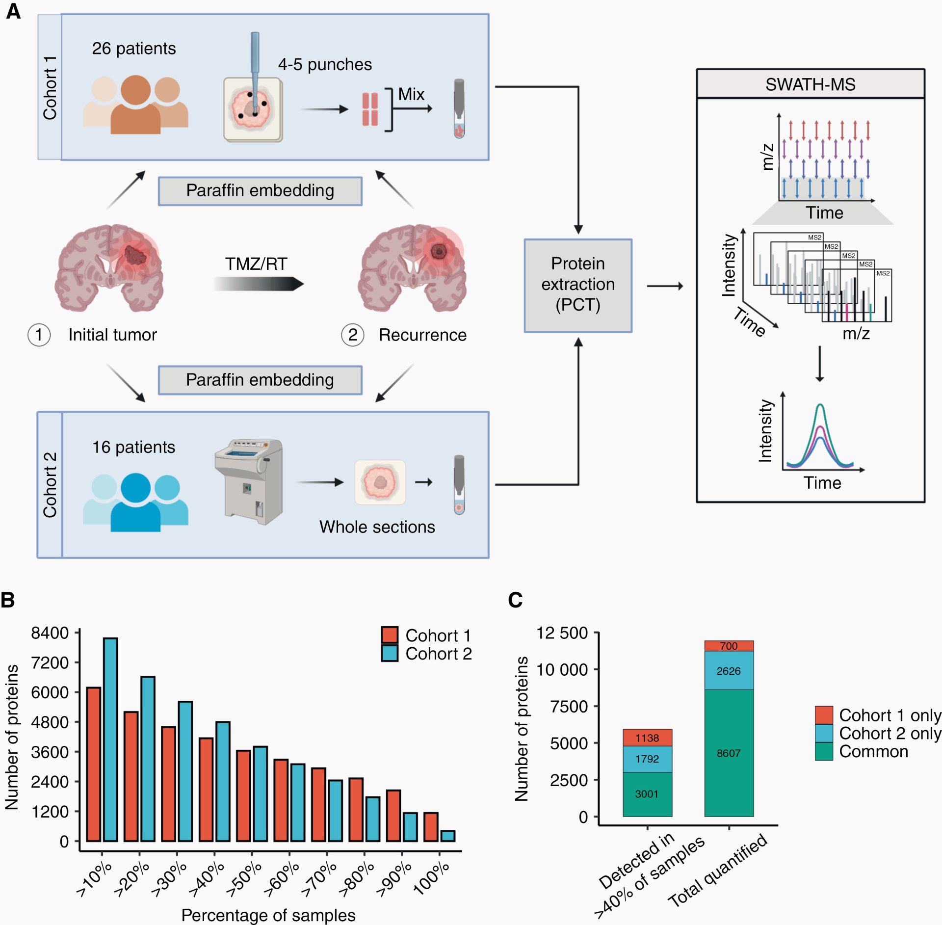 欧米合作｜Neuro-Oncology：蛋白组学揭示胶质母细胞瘤中FBXO2的促肿瘤作用 - Westlake Omics ｜ 西湖欧米（杭州 ...