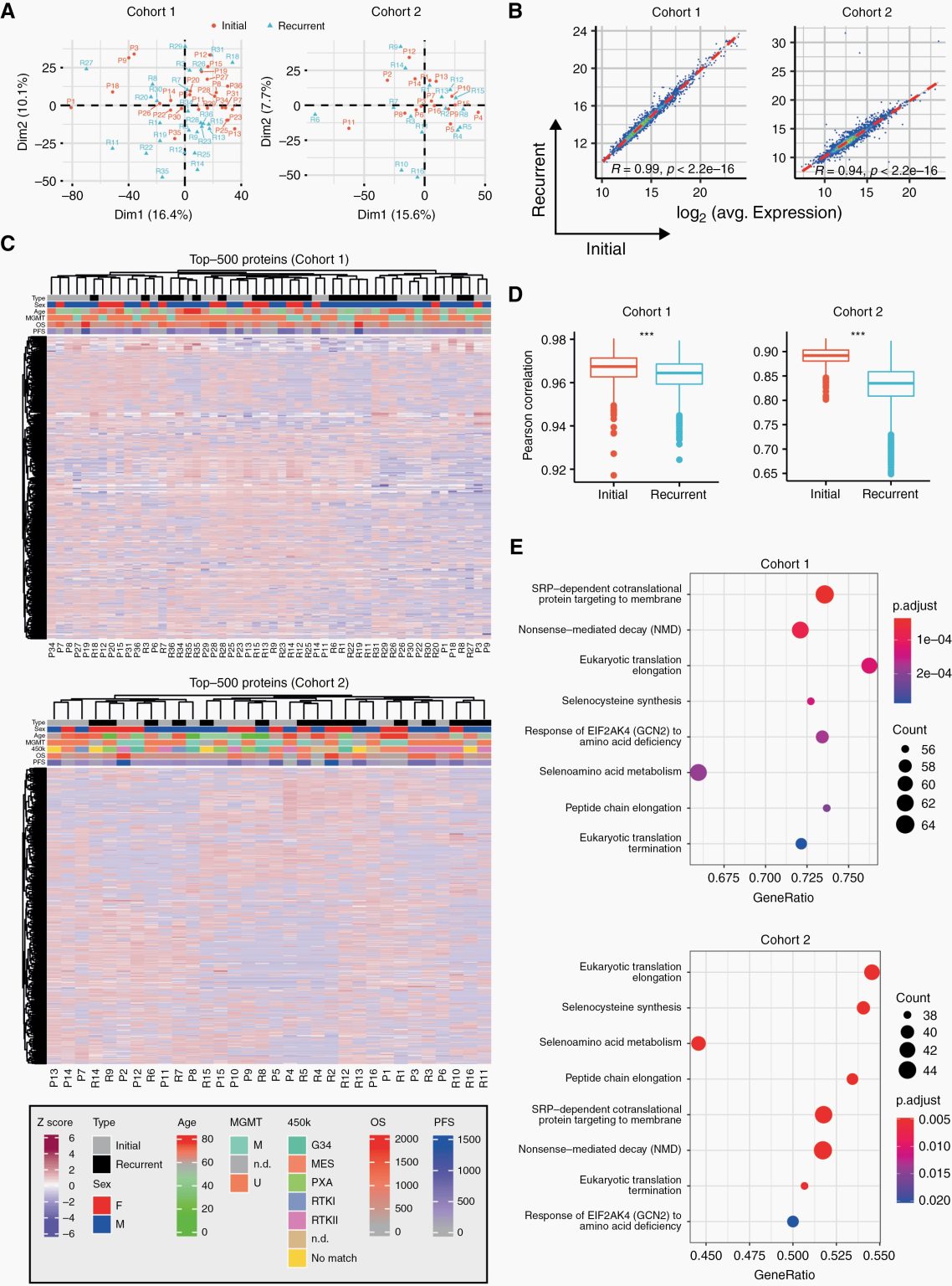 欧米合作｜Neuro-Oncology：蛋白组学揭示胶质母细胞瘤中FBXO2的促肿瘤作用 - Westlake Omics ｜ 西湖欧米（杭州 ...