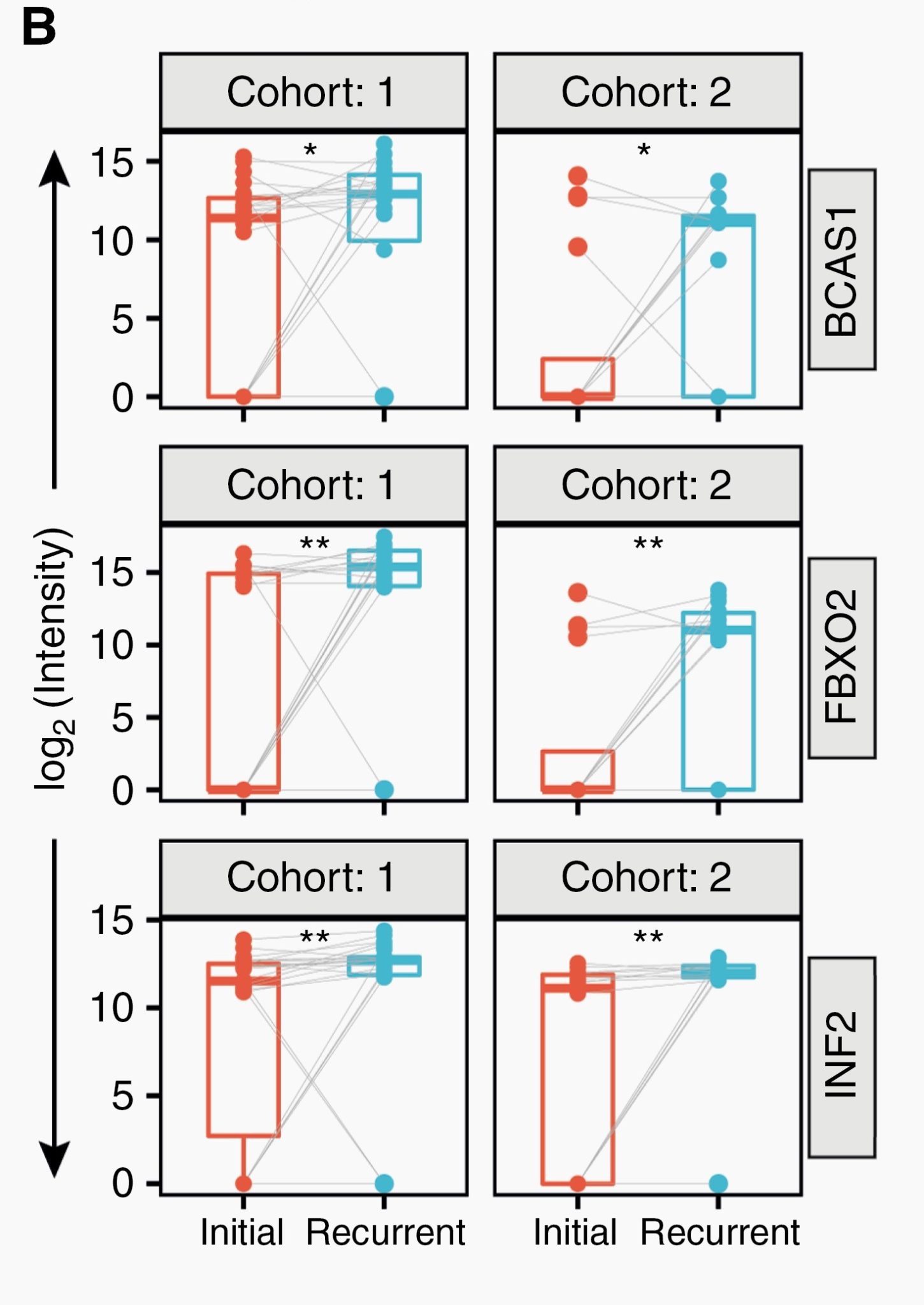 欧米合作｜Neuro-Oncology：蛋白组学揭示胶质母细胞瘤中FBXO2的促肿瘤作用 - Westlake Omics ｜ 西湖欧米（杭州 ...