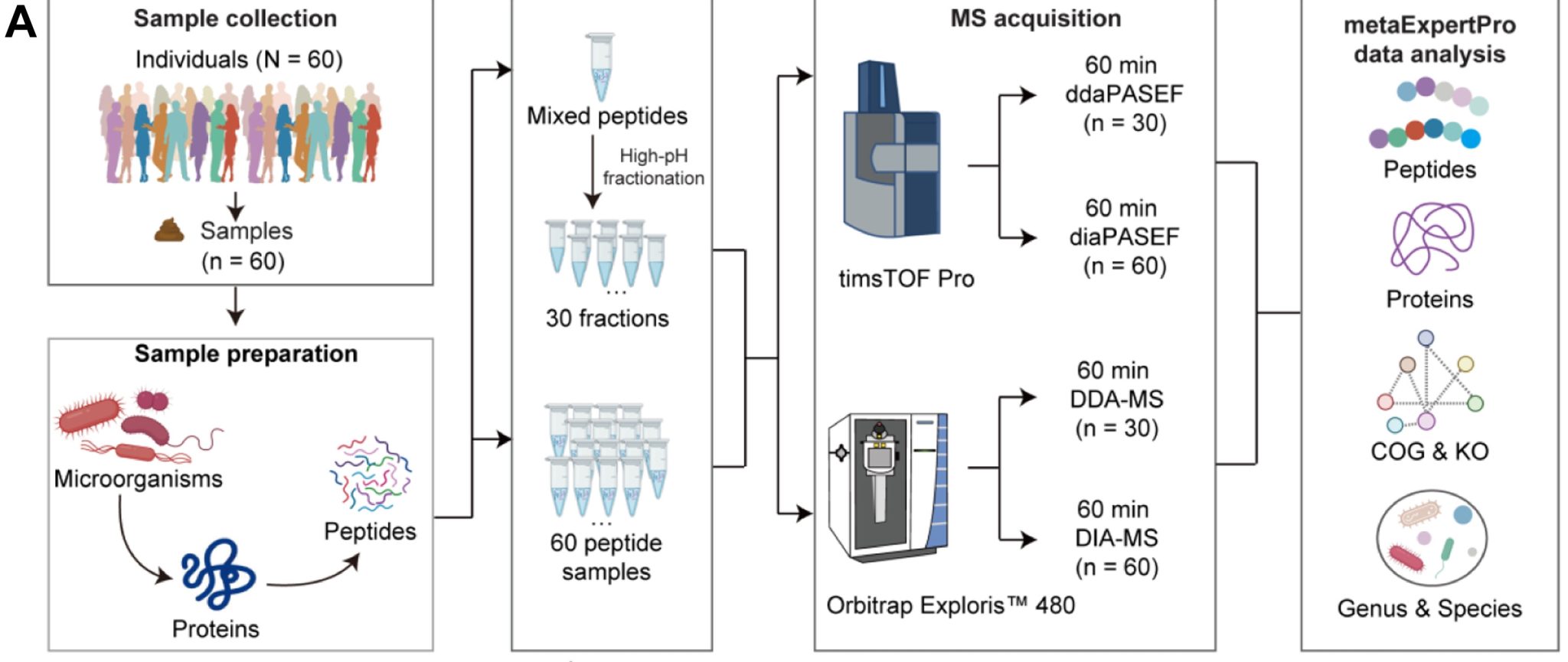 metaExpertPro：宏蛋白质组谱库构建和DIA-MS数据分析新方案 - Westlake Omics ｜ 西湖欧米（杭州）生物科技有限公司