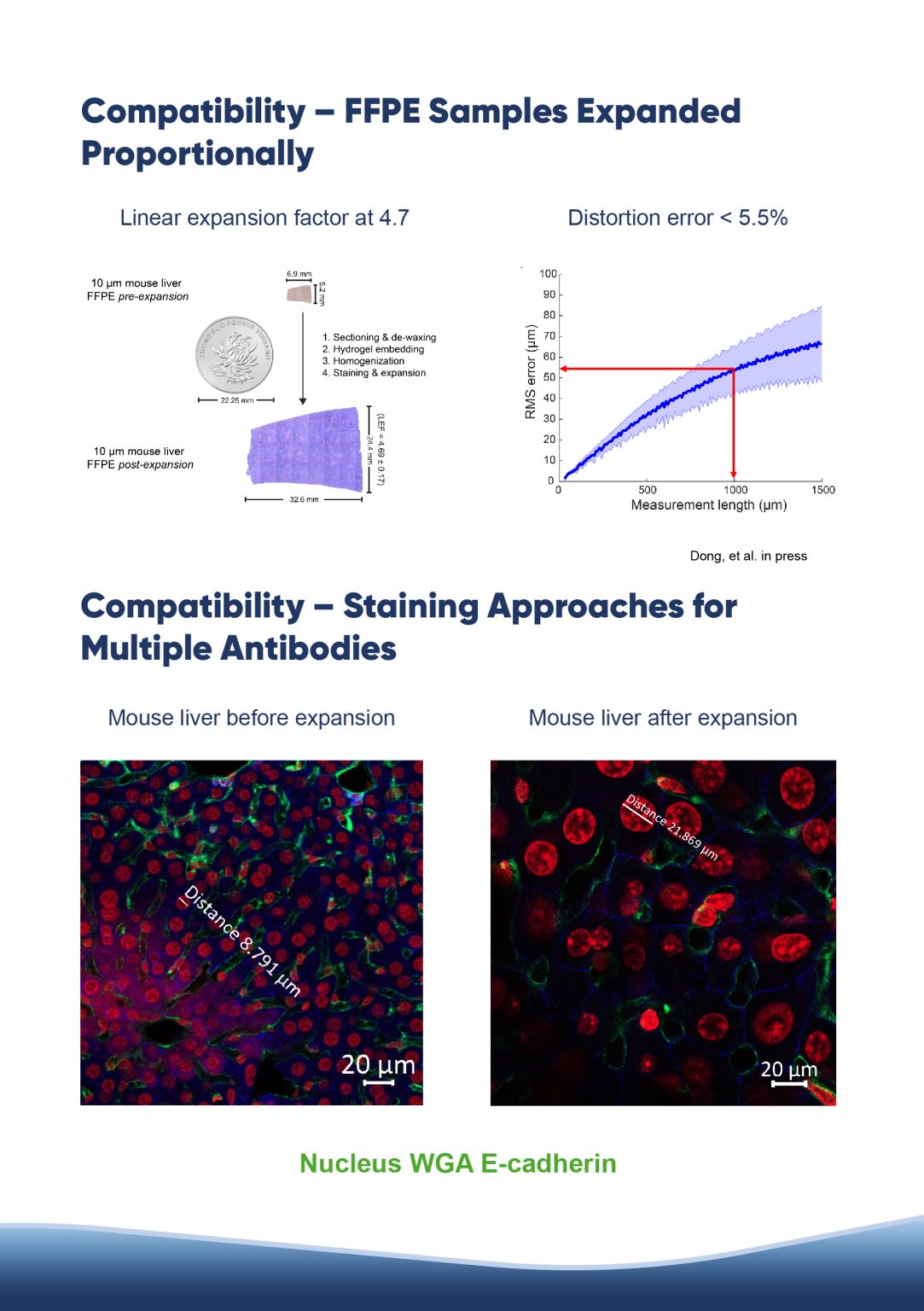FAXP™ —— 空间蛋白质组学/超分辨成像试剂盒 - Westlake Omics ｜ 西湖欧米（杭州）生物科技有限公司 Expansion ...