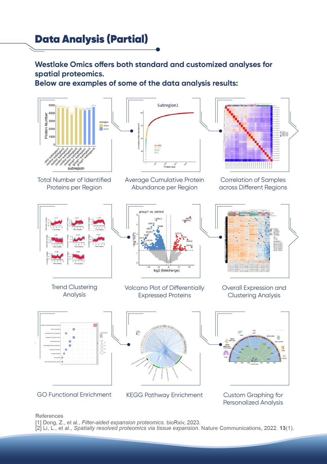 FAXP™ —— 空间蛋白质组学/超分辨成像试剂盒 - Westlake Omics ｜ 西湖欧米（杭州）生物科技有限公司 Expansion ...