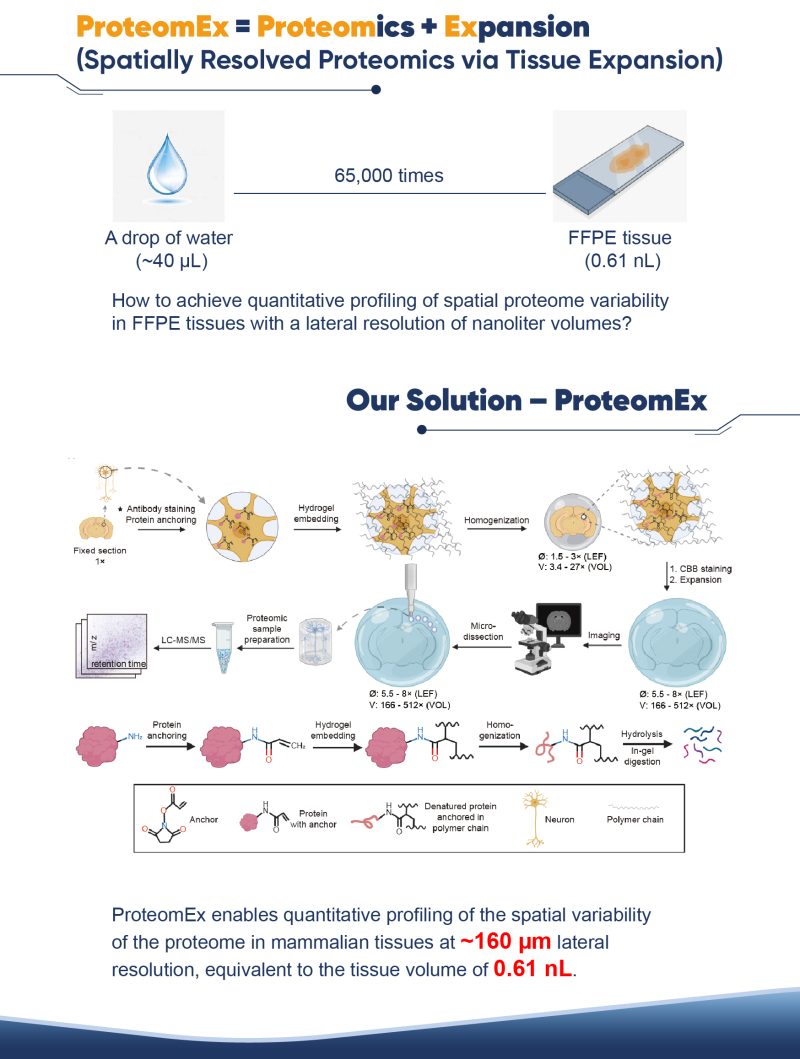 FAXP™ —— Expansion Kit For Spatial Proteomics and Super-resolution Imaging - Westlake Omics ...