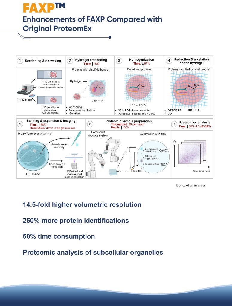 FAXP™ —— Expansion Kit For Spatial Proteomics and Super-resolution Imaging - Westlake Omics ...