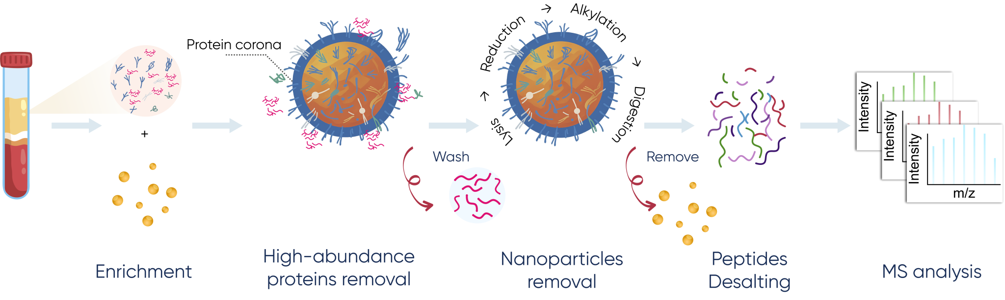 Enrich Low-Abundance Proteins in Plasma and Serum